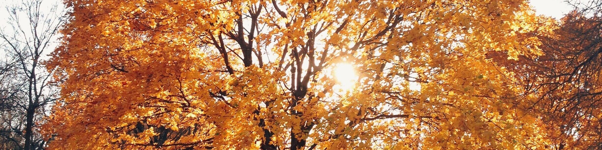 Perfect late fall day biking from Lake Hiawatha to Lake Nokomis. www.bradleyhanson.com bradleyhanson.vsco.co