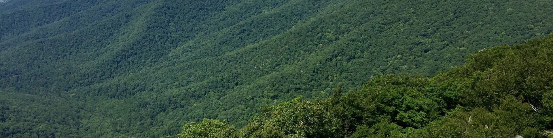 Hiking in Shenondoa National Park...