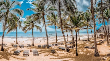 Uma praia com palmeiras, espreguiçadeiras e o oceano.