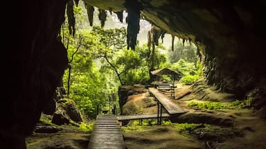 Entrada de caverna com um caminho de madeira que leva a uma pequena construção de madeira.