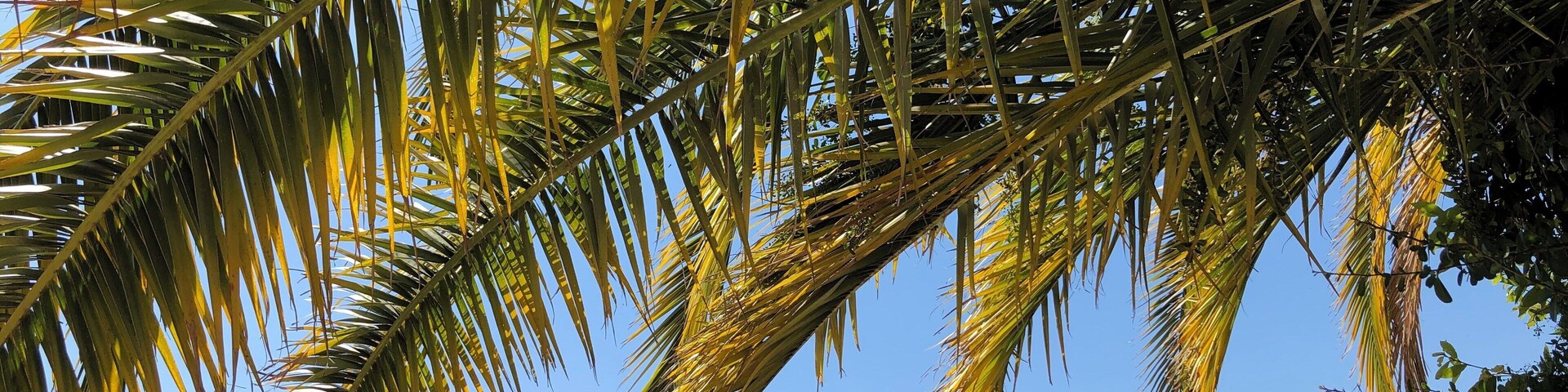 Interesting museum near the Matisse museum.