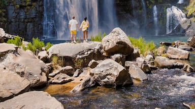 Uma cascata despenca por um penhasco rochoso, cercada por vegetação exuberante.