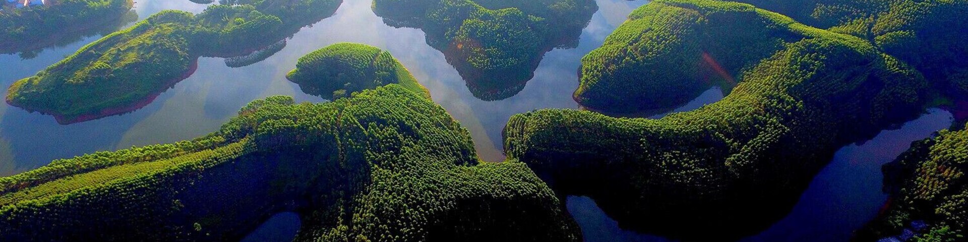 Dawang Beach National Wetland Park .
#大王滩国家湿地公园.
https://twitter.com/Beautifulgx