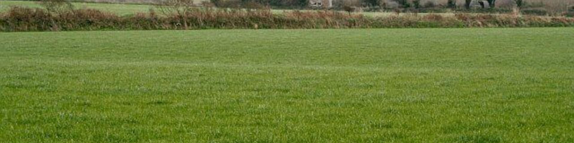 Isolated House in Farmland outside St Columb Minor.