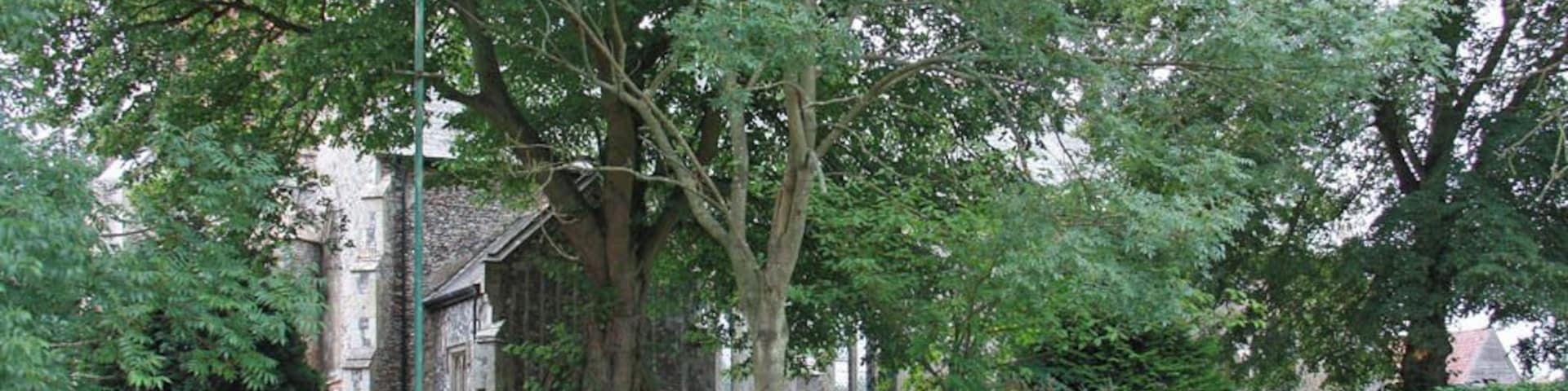 St Edmund, Costessey