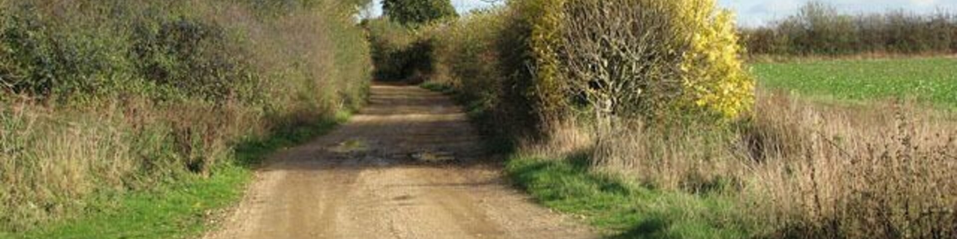 Access road to College Farm This access road serves as a public footpath leading to Maypole Green further to the east.