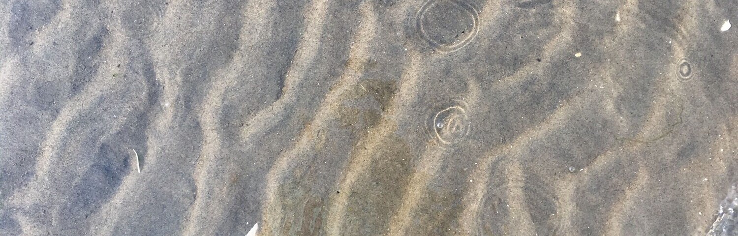 Orchard beach in the Bronx is a quiet beach with small waves suitable for little kids. This beach is inside the bay so no big waves here! There is an entry fee of $7 but the beach is a little trashed and not kept too clean. Beautiful play area abd facilities available