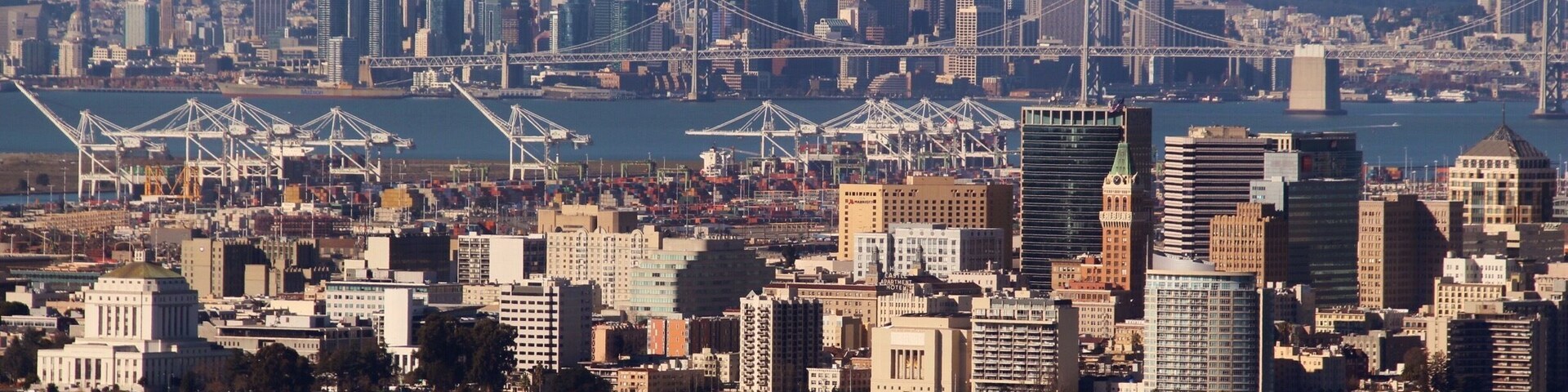 From the parking lot of temple, Oakland and San Francisco next to each other.
#UrbanJungle