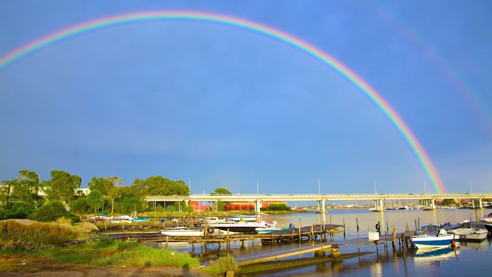Olbia which includes a bridge