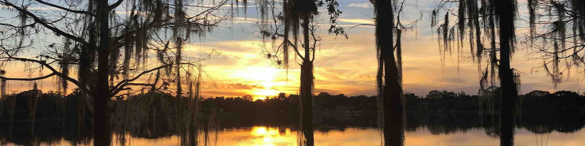 My beautiful neighborhood