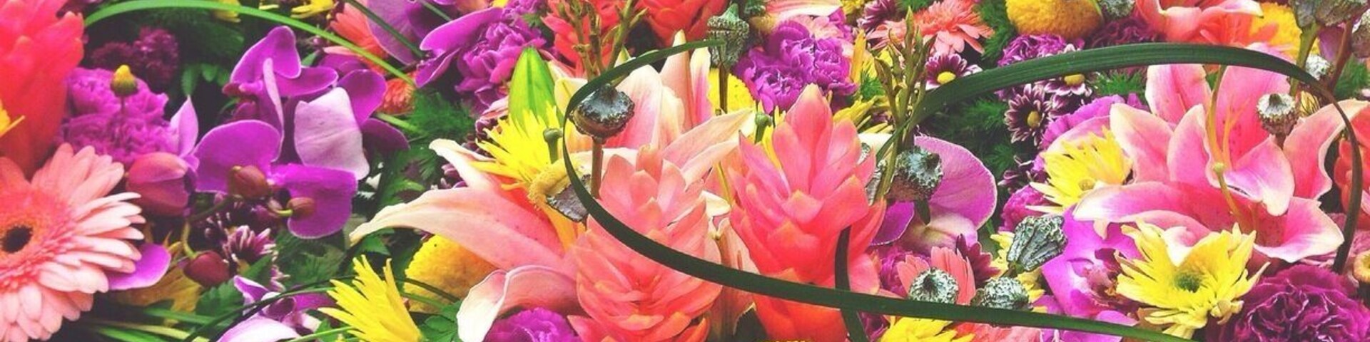 Lovely flowers 💐💐💐