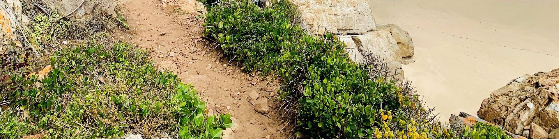 Even though its a bit of a walk and the sun is burning, the best treat is to reach the beach afterwards! This is a must is ever in South Africa! #LifeAtExpedia