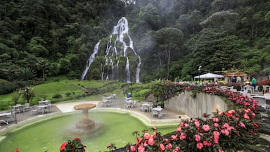 Uma cascata rodeada por vegetação exuberante e um jardim com flores cor-de-rosa.