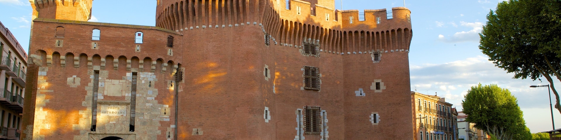 Perpignan caracterizando cenas de rua, um castelo e arquitetura de patrimônio