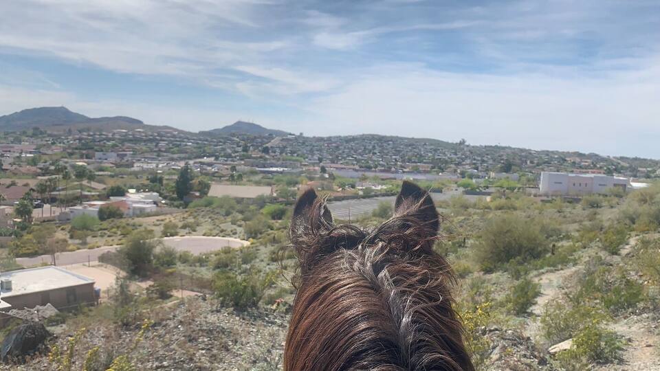 One way to get the most out of life is to look upon it as an adventure.