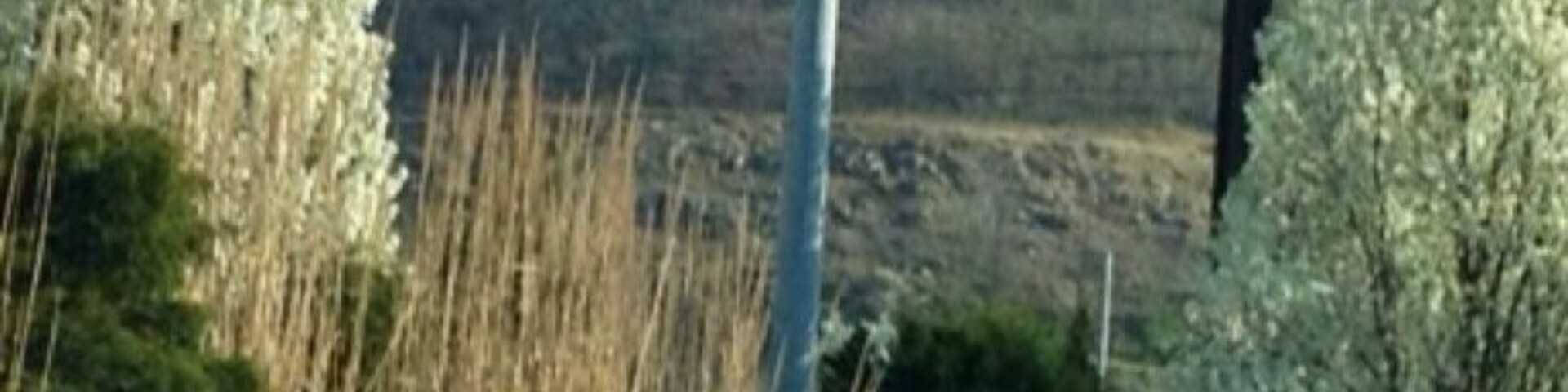 Beautiful spring blossoms on the Parkway West near the south portal of the Fort Pitt Tunnel.
