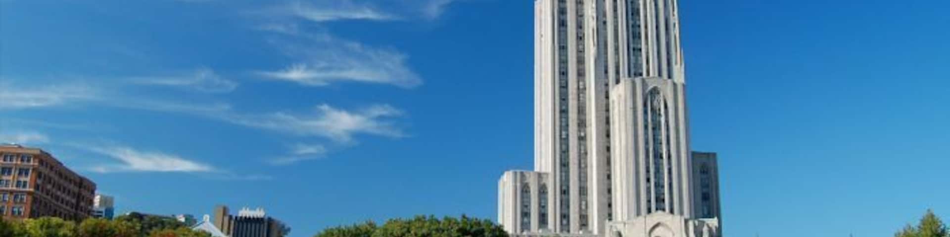 The Cathedral of Learning is what all schools should look like. When you take a class in this building you feel a higher calling #StunningStructures