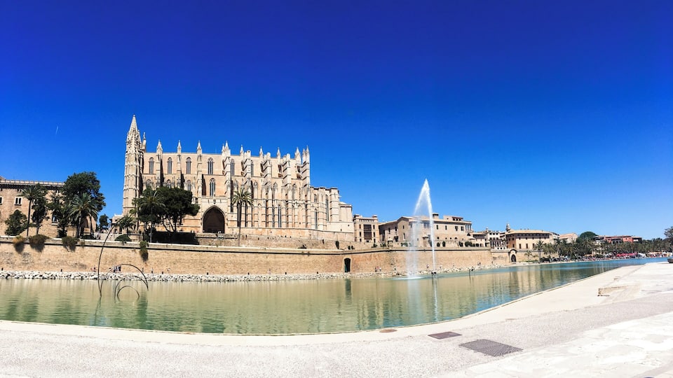 Palma cathedral