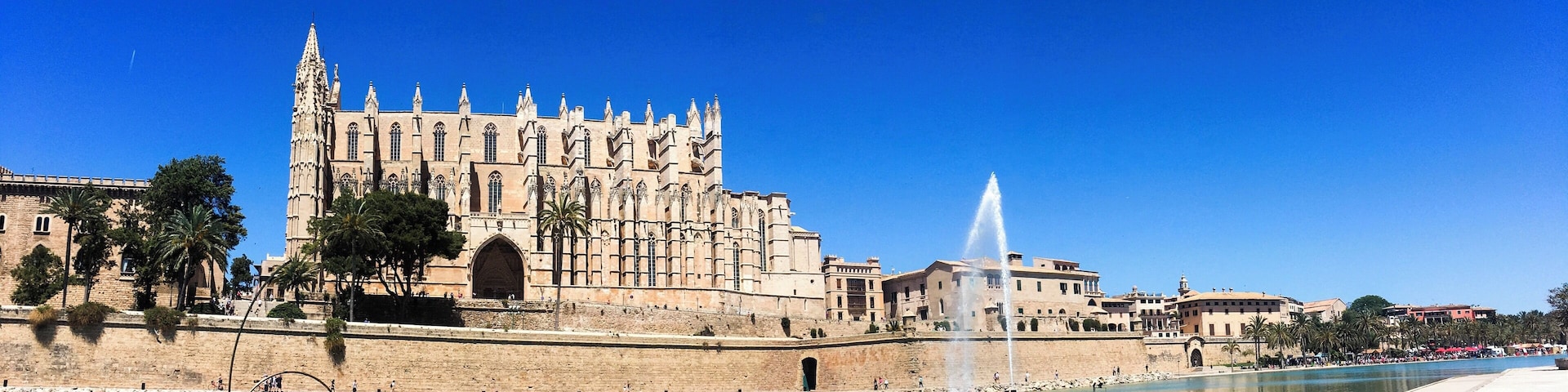 Palma cathedral