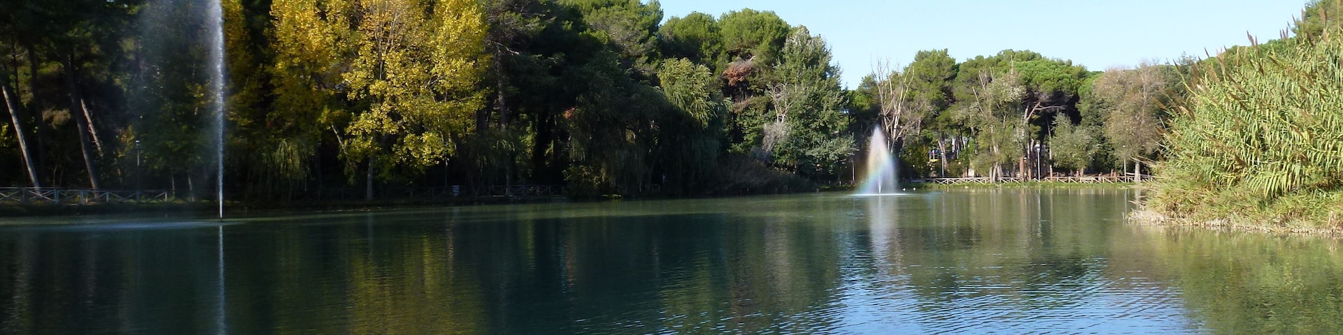 Laghetto del Parco della Pineta