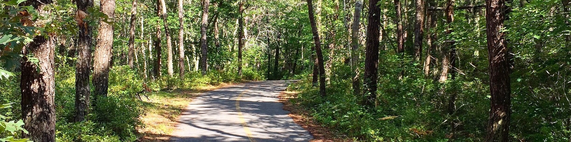 Bike paths near Provincetown.