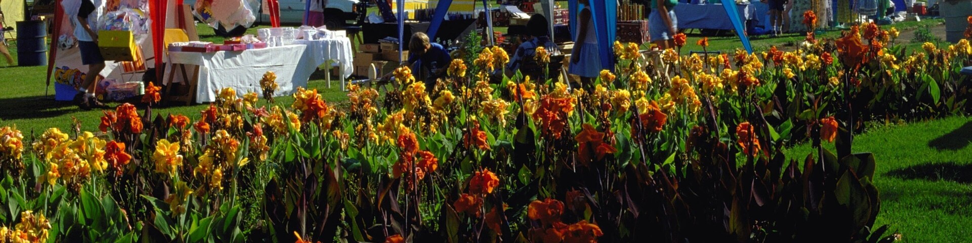 Um mercado de flores com toldos coloridos e um campo de flores amarelas e laranjas.