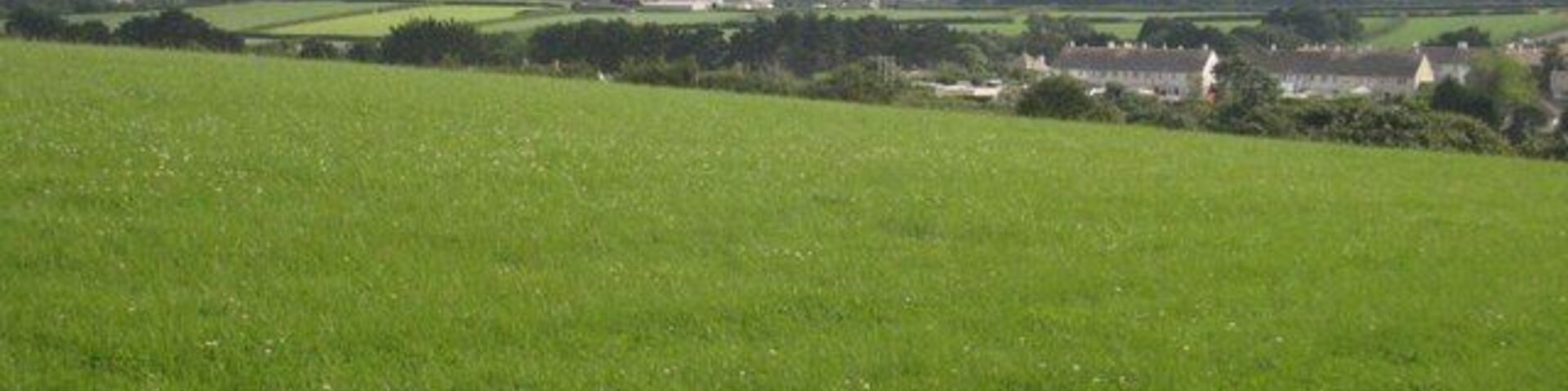 Um campo verde com uma colina distante e edifícios.
