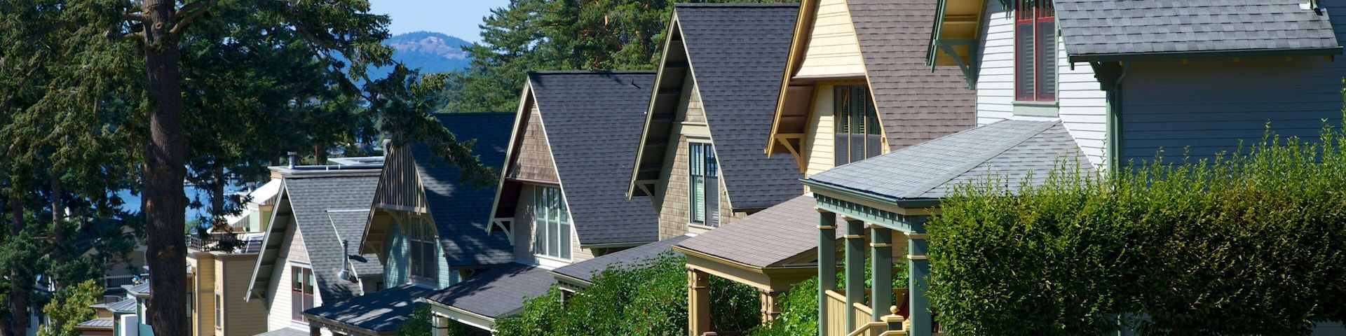 San Juan Island which includes street scenes, a small town or village and a house