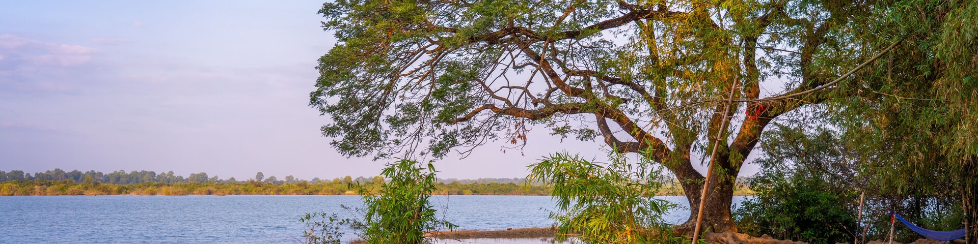 Um lago calmo com um barco atracado sob uma grande árvore.