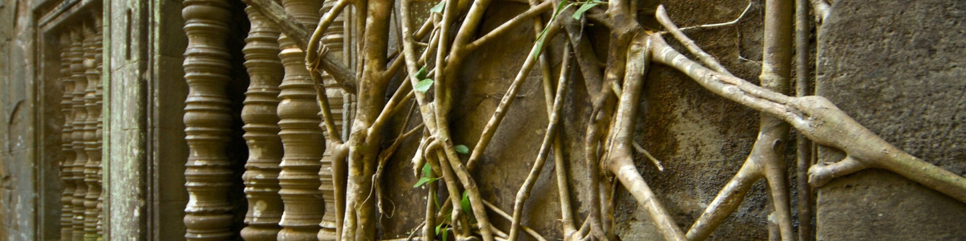 Siem Reap which includes building ruins