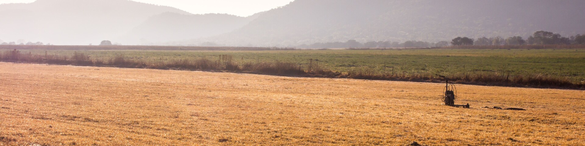 Um extenso campo dourado com um trator ao longe, cercado por colinas ondulantes e um céu nebuloso.