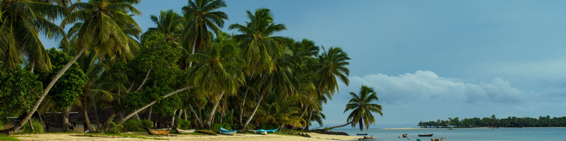 Uma praia com palmeiras e barcos.