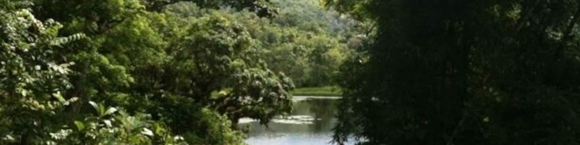 View of a pond in Darliston, JA. This pond is known by the locals for not have a bottom. And also mysteriously having mermaids.