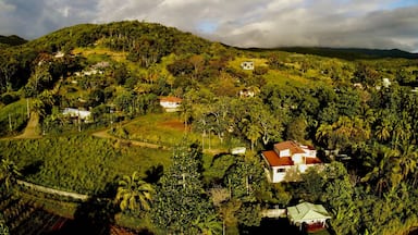 Uma paisagem verdejante e exuberante com algumas casas espalhadas numa encosta.
