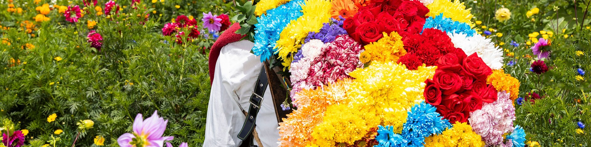 Uma pessoa organizando um arranjo floral grande e colorido em um campo com diversas flores.