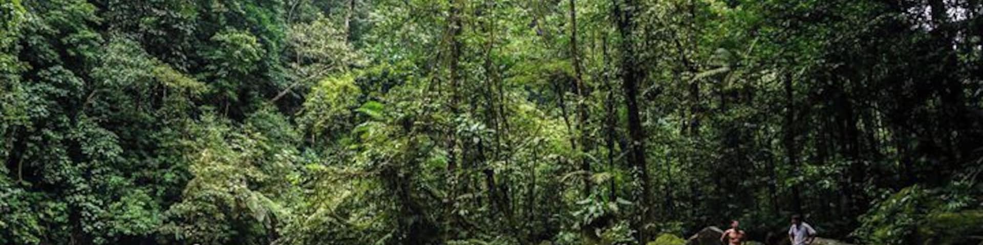 Um rio serpenteando por uma floresta densa, com pedras e pessoas em cima delas.
