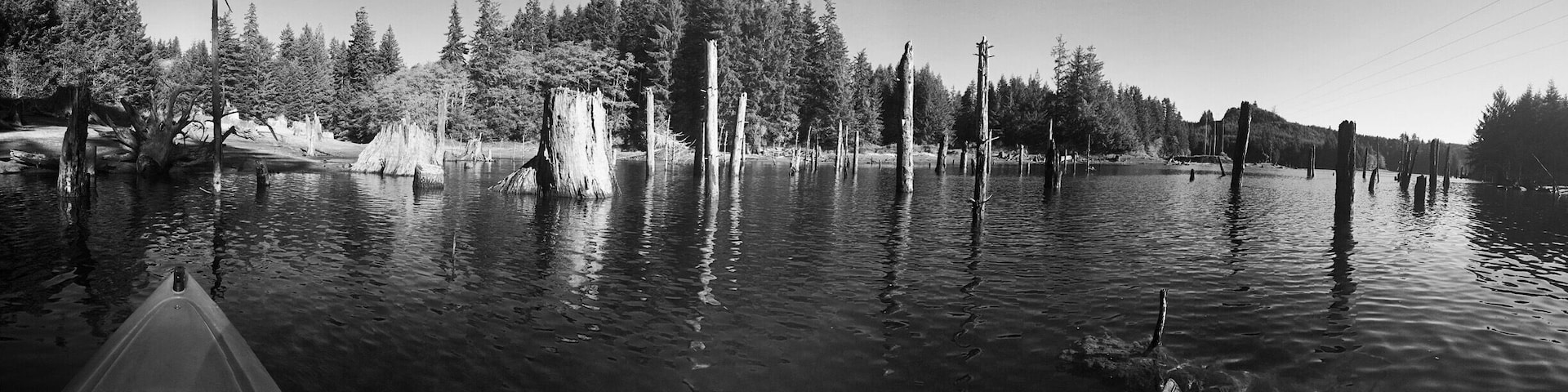 #kayaking around #olallalake nestled near Toledo #Oregon.