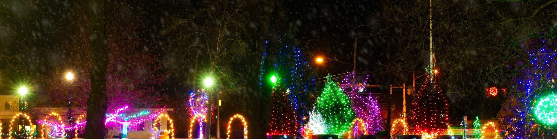 Um parque coberto de neve à noite, com árvores iluminadas e um pinheiro de Natal.