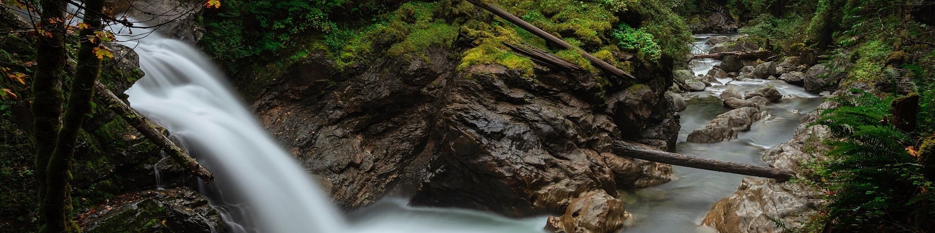 Uma cascata em área florestal, com rochas cobertas de musgo e folhas avermelhadas pelo outono.