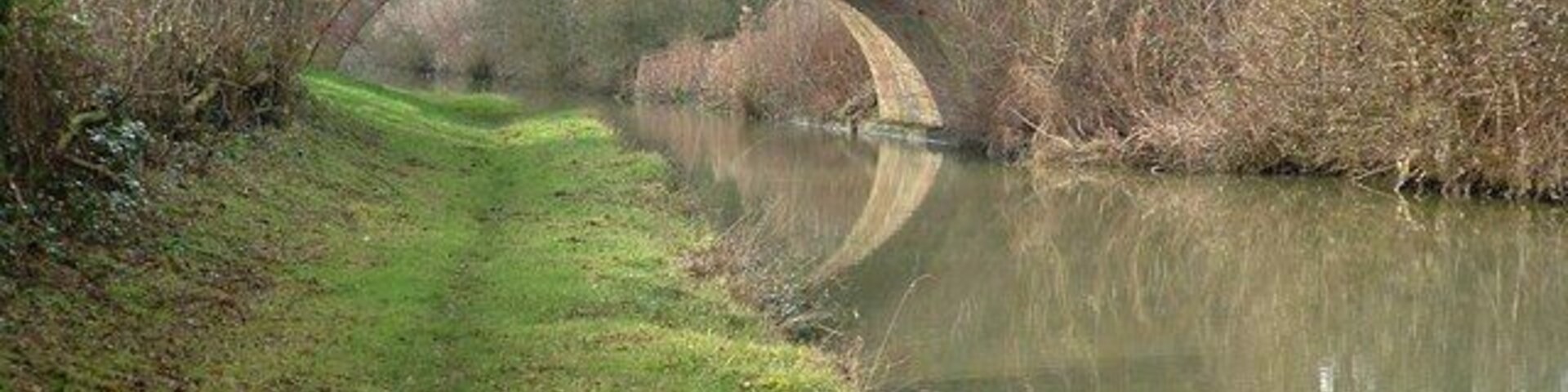 Uma ponte de tijolos sobre um rio calmo, com um caminho gramado ao lado.