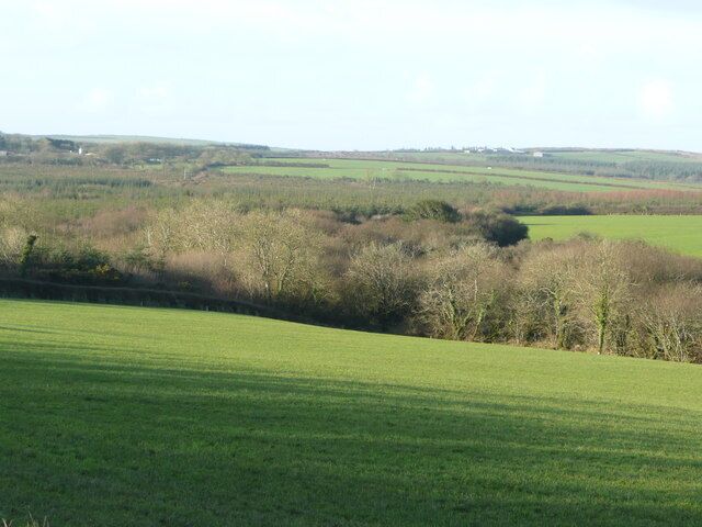 Um campo verde com árvores ao fundo.