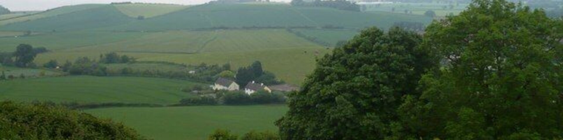 Colinas verdes e ondulantes, uma casa pequena e uma árvore em uma paisagem rural.