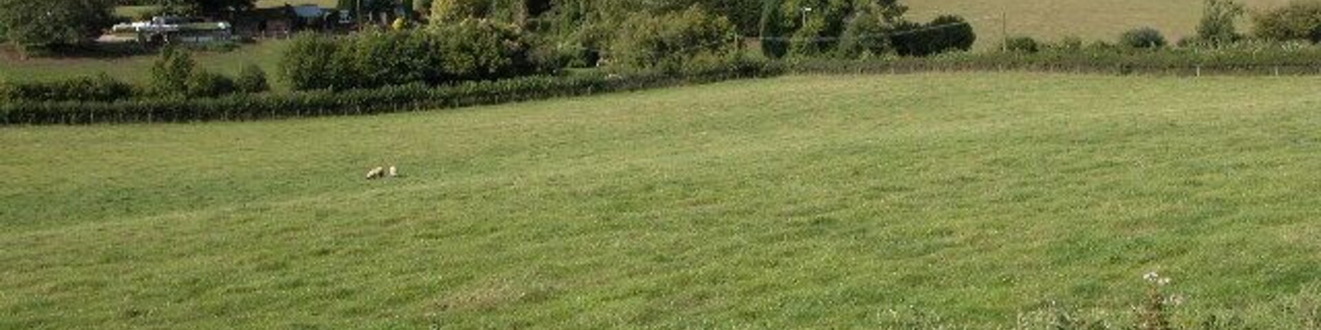 View north east from Lea Bailey. Lea Bailey is on the northern fringe of the Forest of Dean. The wooded hill in the middle distance is Penyard Hill.