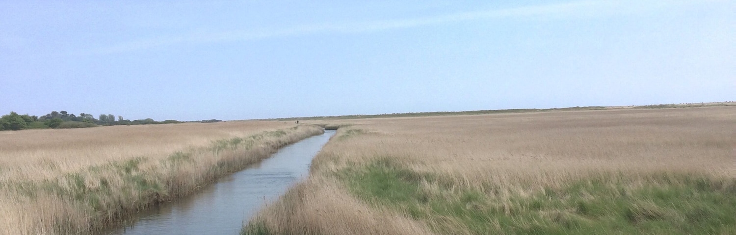 A lovely 6 mile walk around Dunwich with some stunning views!