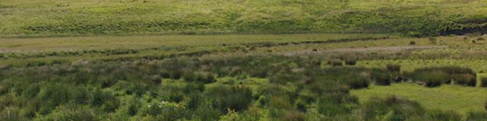 Farmland south of Staylittle / Penffordd-Lâs Rough grazing nearby, slightly less rough beyond. The Afon Clywedog runs in a dip across the picture.