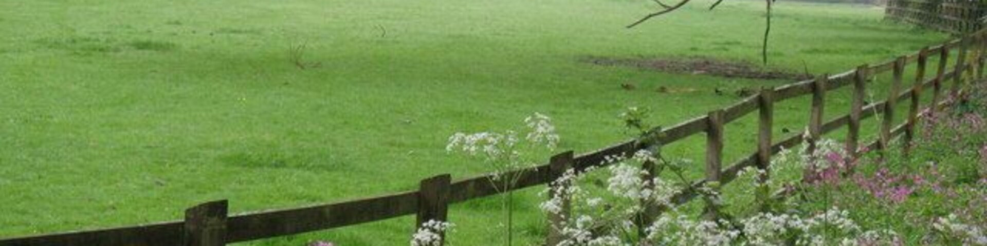 Um campo gramado com cerca de madeira e flores em flor no primeiro plano, conduzindo a um edifício ao fundo.