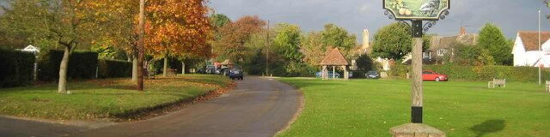Tewin: The village sign Martin 141082 and Robert 1303488 have already submitted images of the sign, but a brief sunny interval in an otherwise generally overcast day afforded an irresistible opportunity of a duplicate! The sign is actually a Millennium commemoration too with the year 2000 prominent in the display. The main feature in the picture on the sign is the River Mimram. The village of Tewin is actually set some distance away and up the valley slopes from the river.