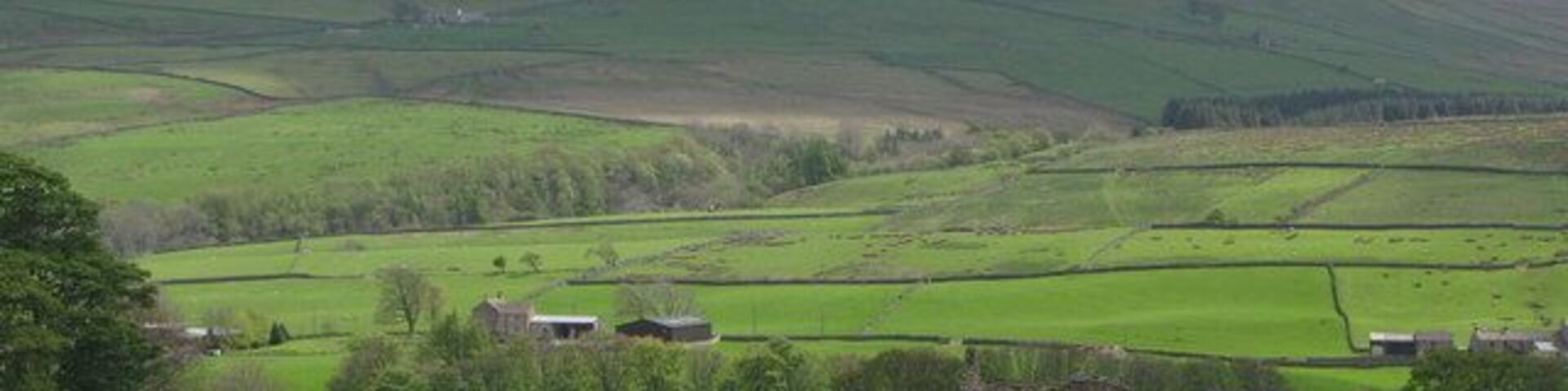 Paisagem rural com colinas onduladas, um pasto cercado com gado a pastar e algumas construções agrícolas espalhadas.