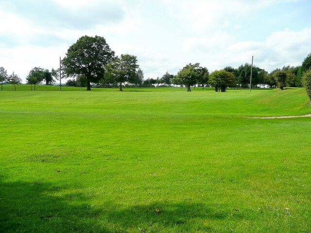 Um campo gramado com árvores e céu limpo.