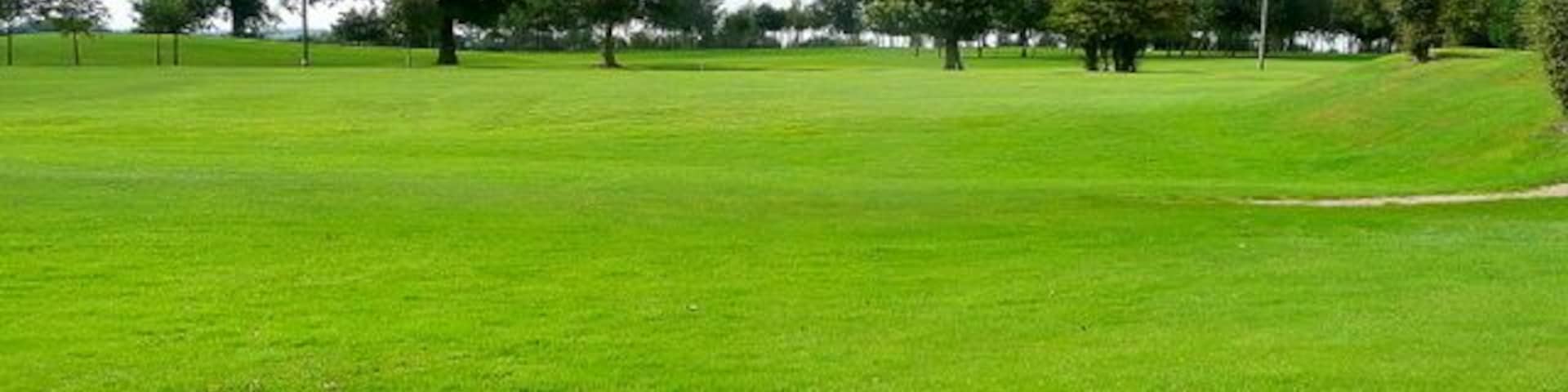 Um campo gramado com árvores e céu limpo.